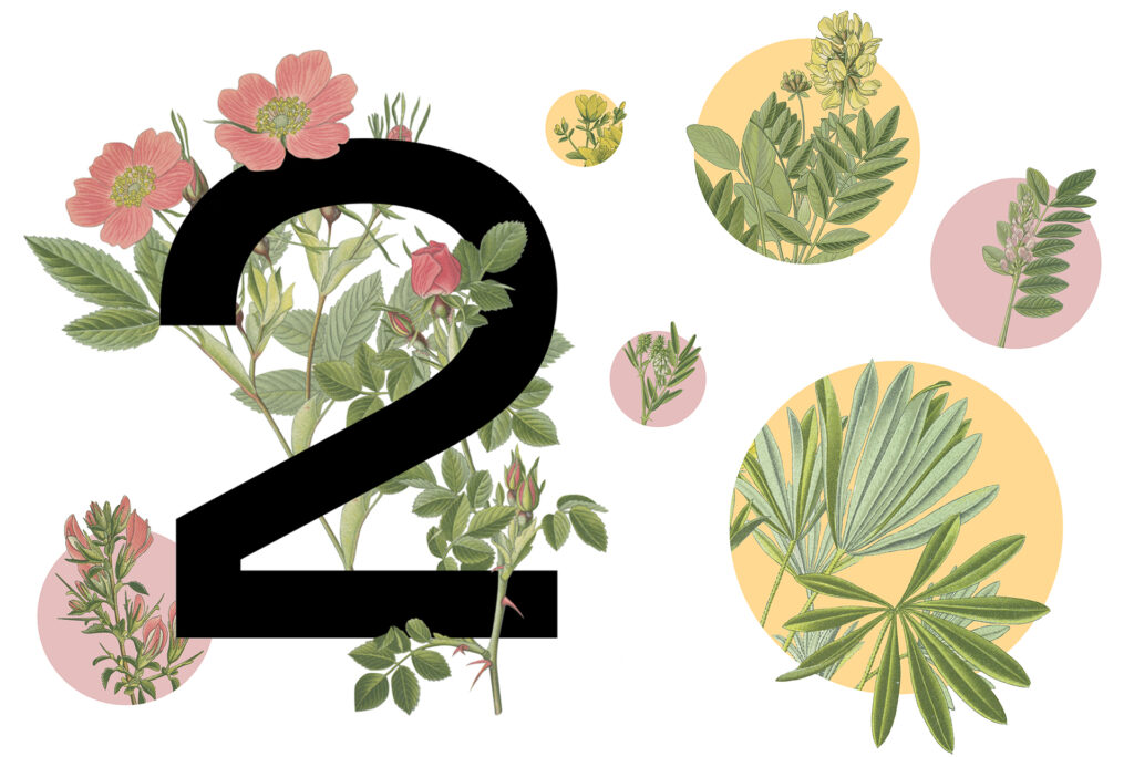 Resi 4 Rent building in Cracow - Blank Studio