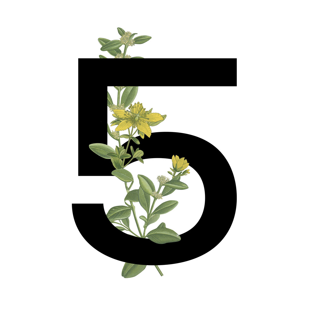 Resi 4 Rent building in Cracow - Blank Studio